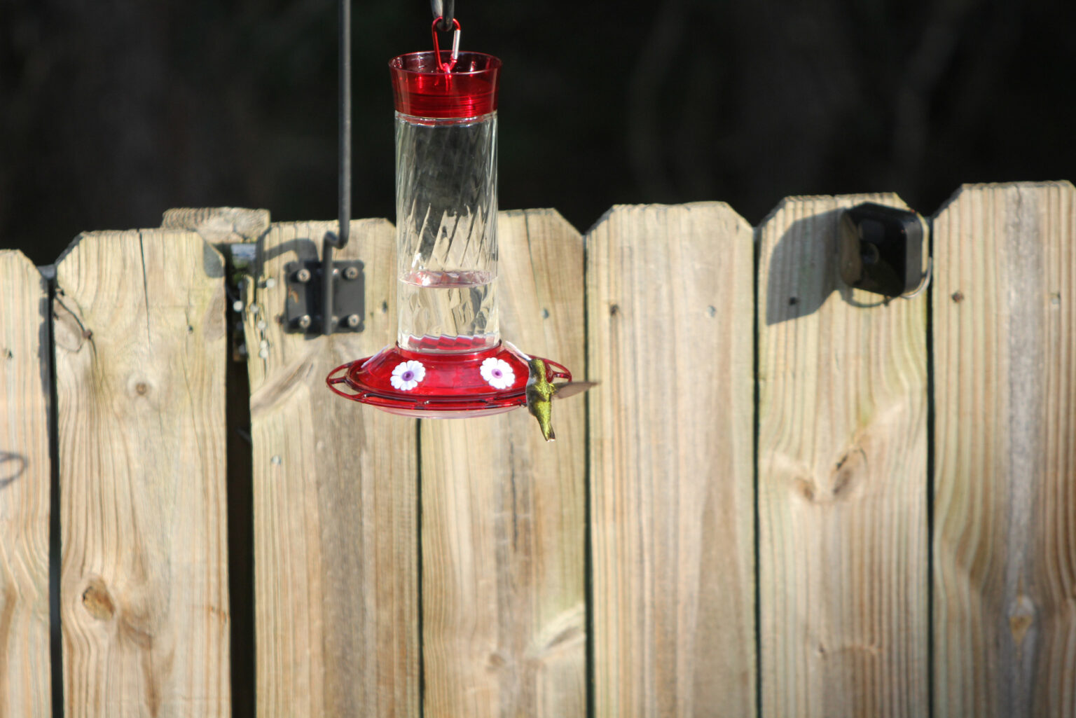 Birdhouse Camera Set-up – Whitney Anderson Gardening